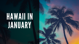 Hawaii in January: 5 Reasons Why This is a Good Time to Visit