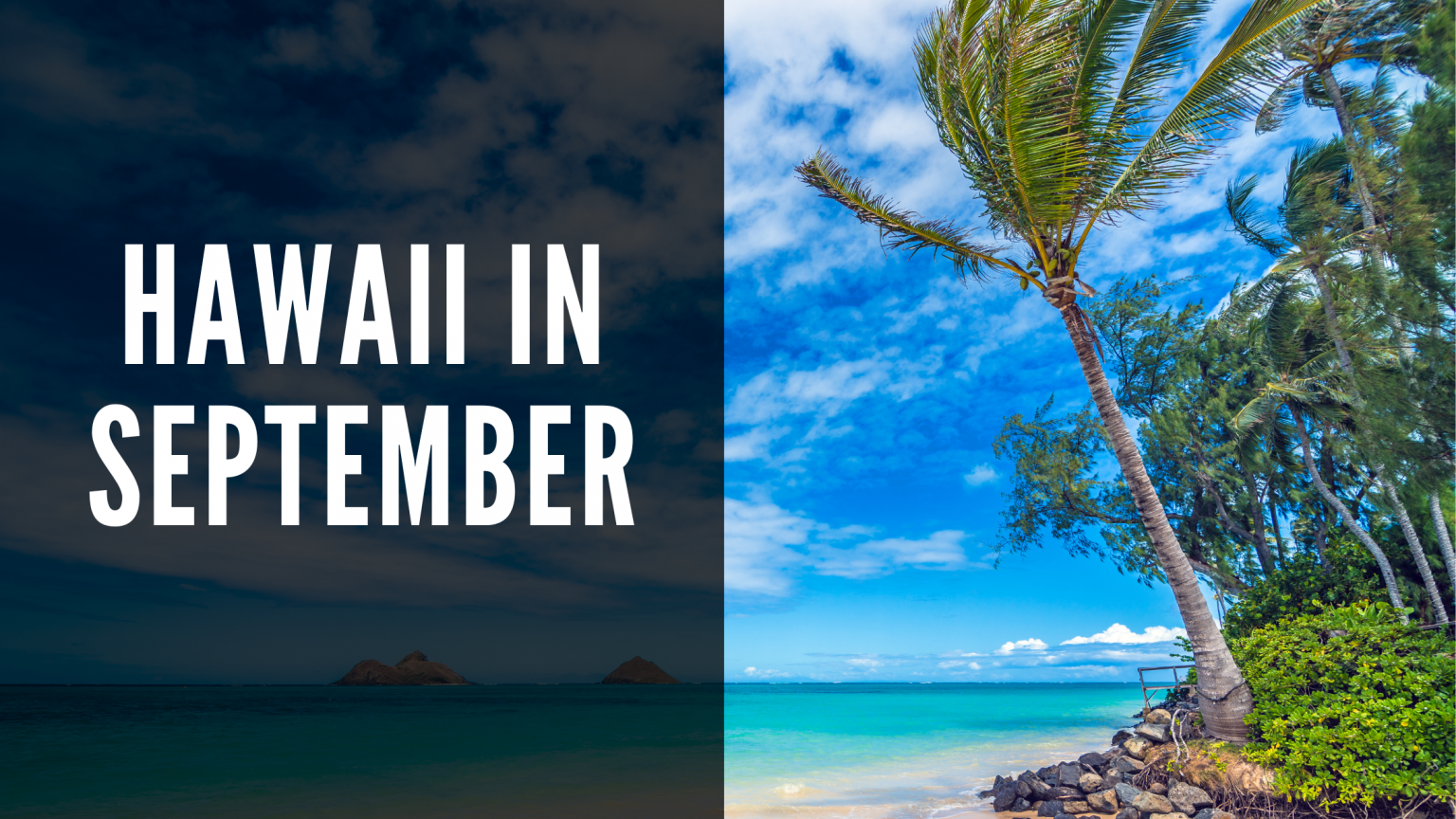 Hawaiian Phrases and Words to Learn Before You Go